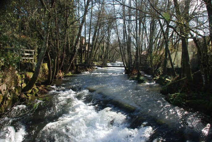 Rio Neiva | Município de Barcelos