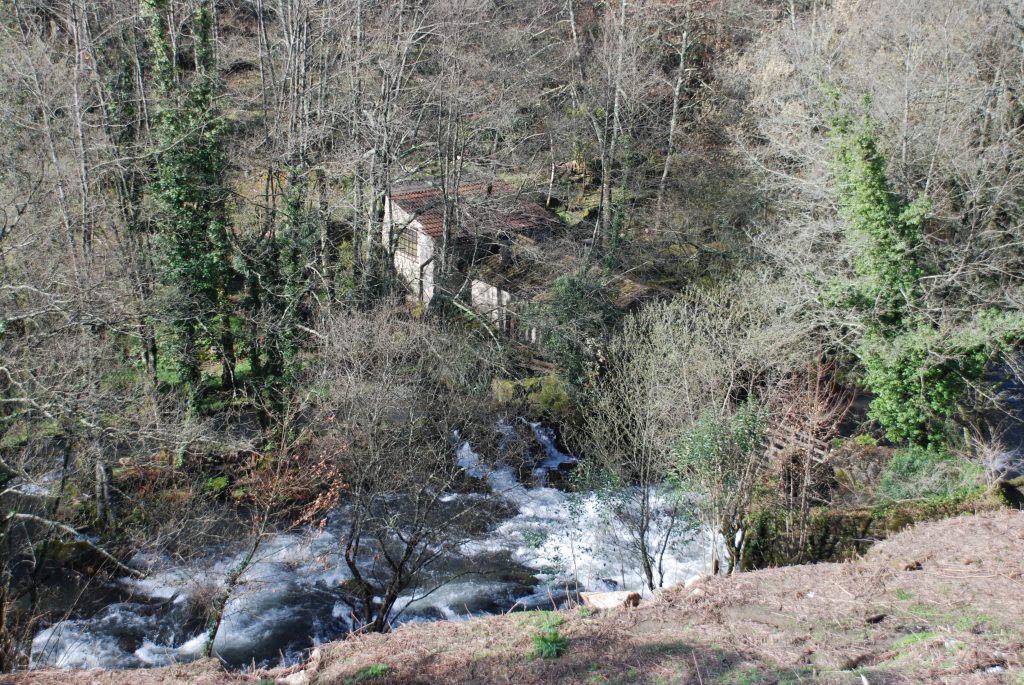 Rio Neiva | Município de Barcelos