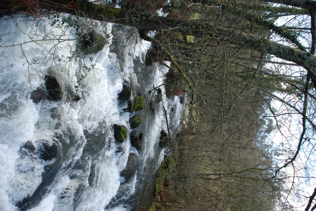 Rio Neiva | Município de Barcelos