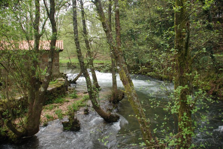 Rio Neiva | Município de Barcelos